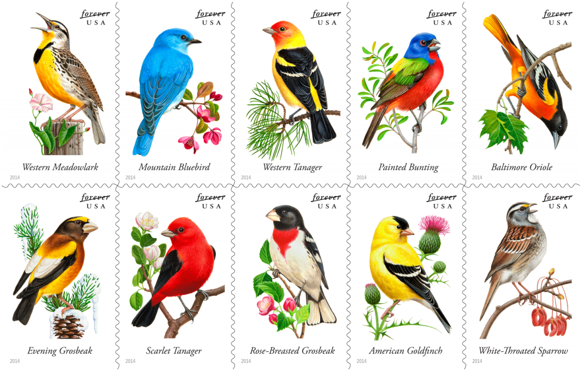 Deutschland Singv gel Machen Sich In G rten Und Parks Rar Bird Deutschland Singv gel Machen Sich In G rten Und Parks Rar Bird